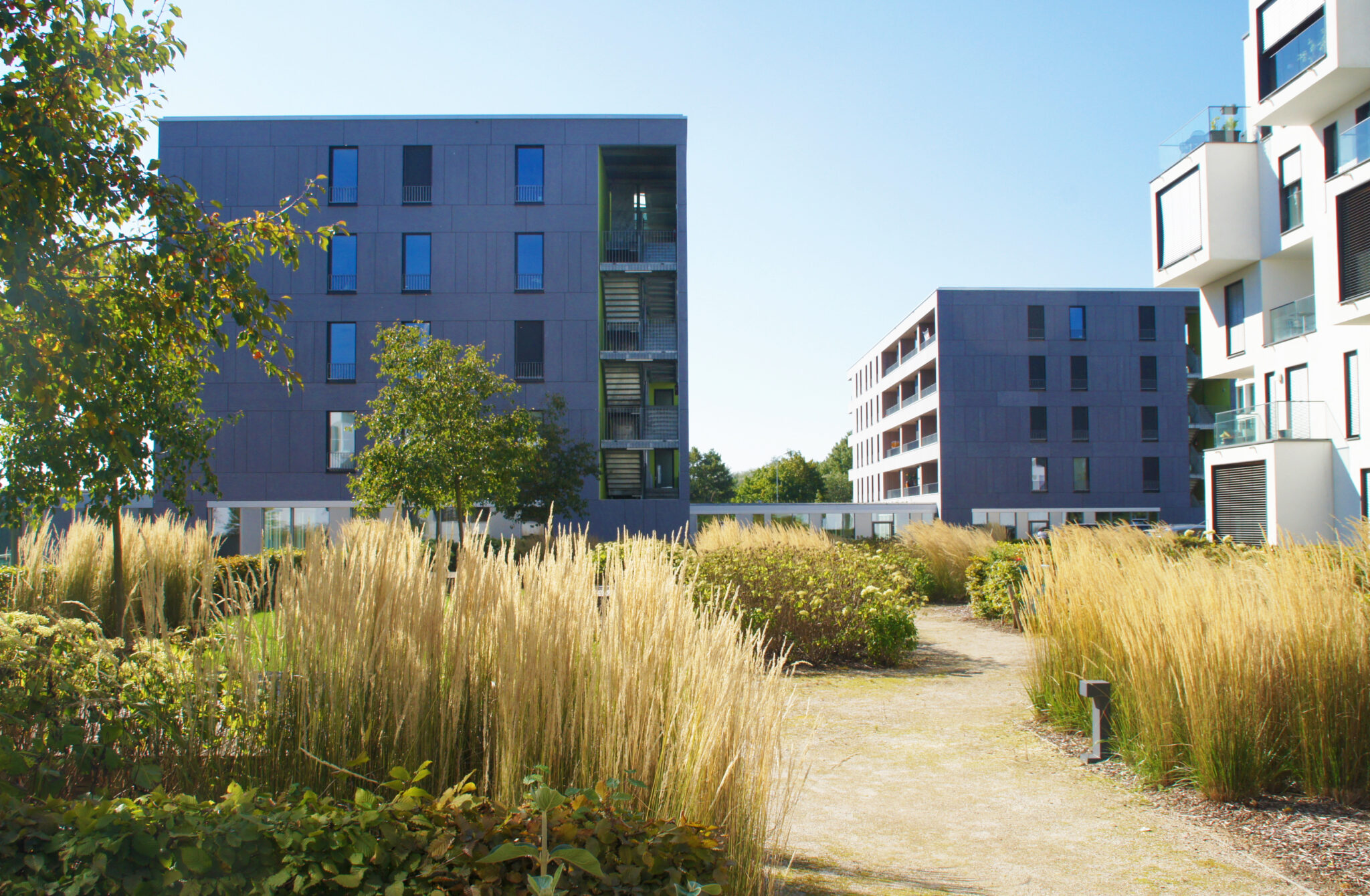 Grünewald housing buildings – stdm
